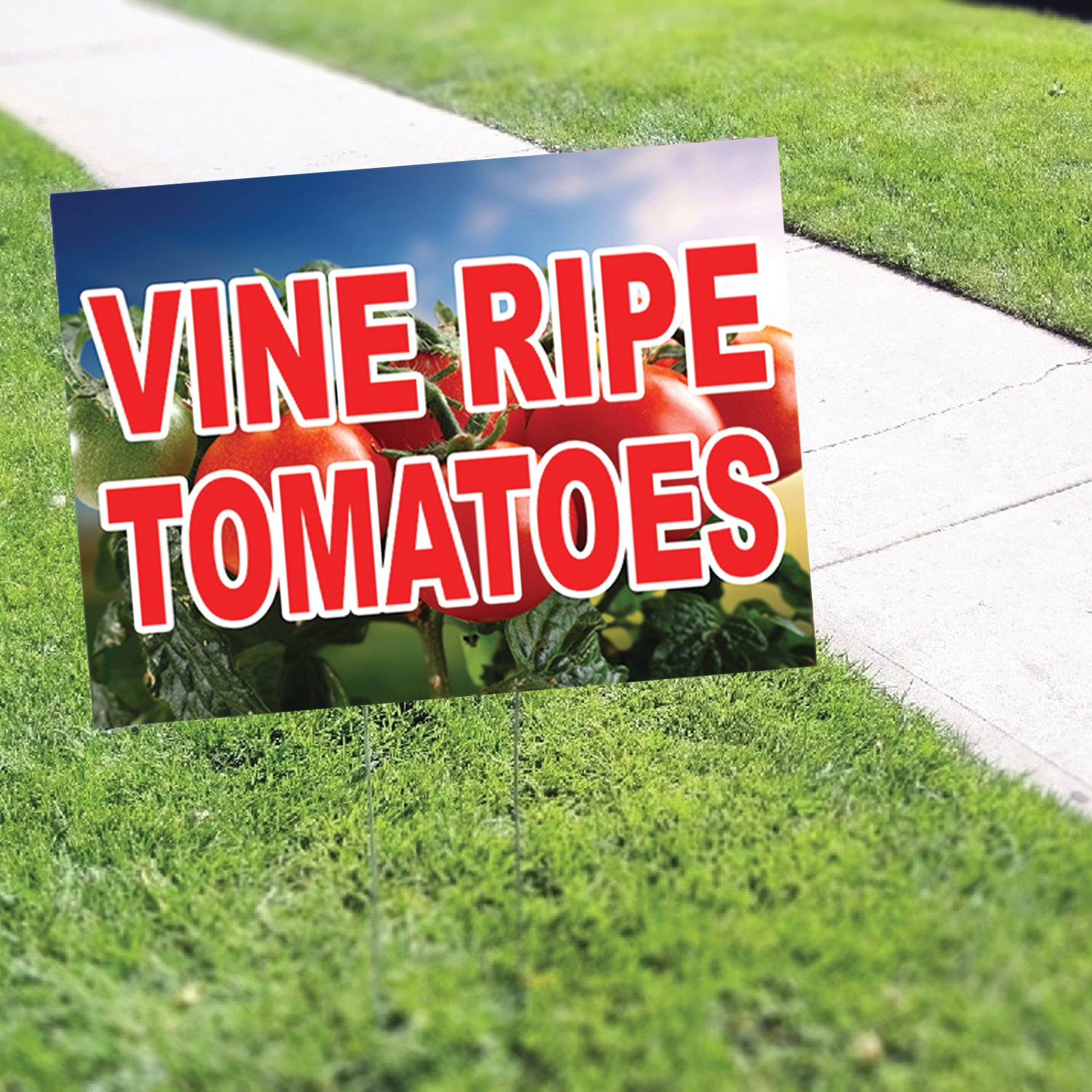 Vine Ripe Tomatoes Coroplast Yard Sign - Sign Fever