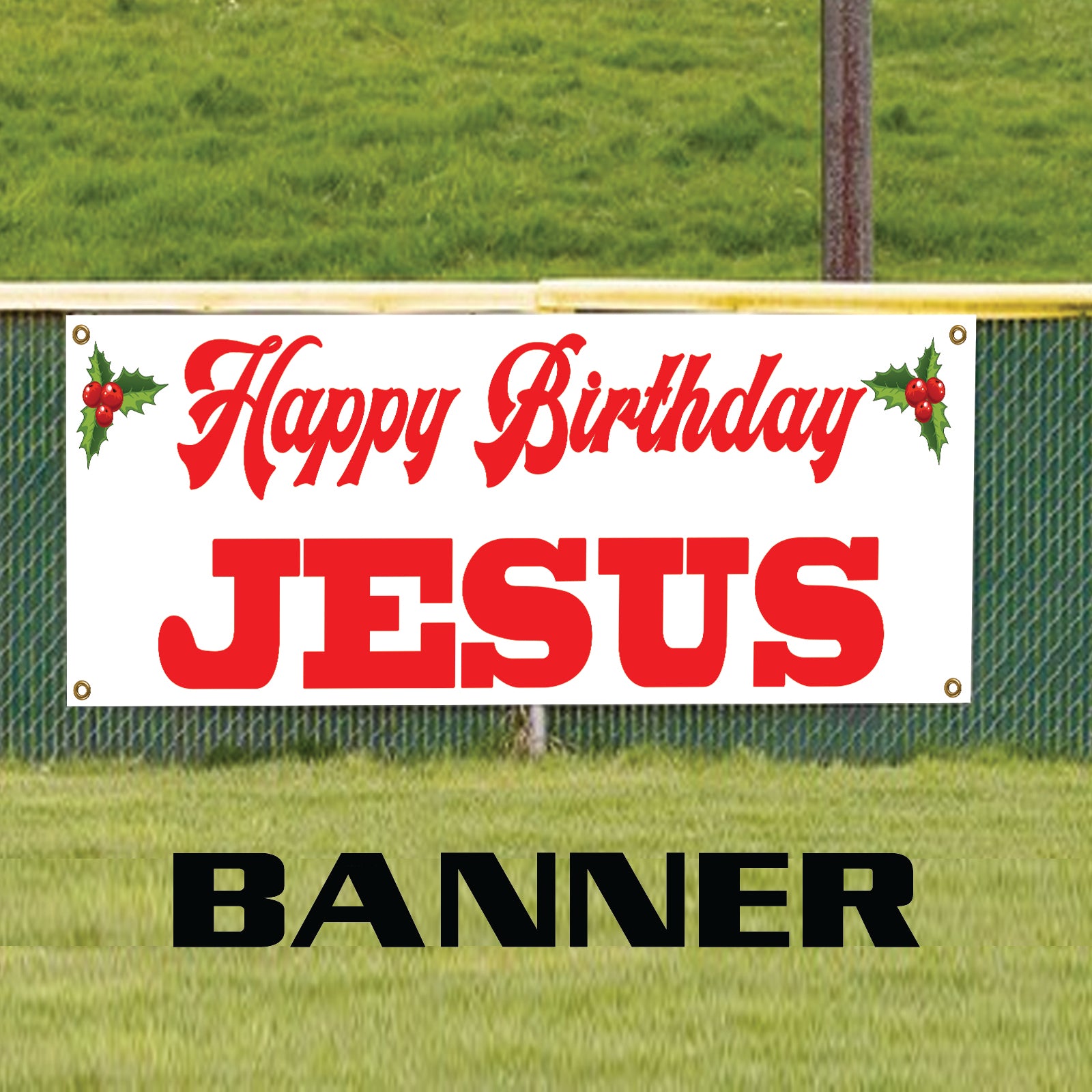 Hot Salted Roasted Nuts Dry Fruits Marketing Vinyl | Banner Sign – Sign ...