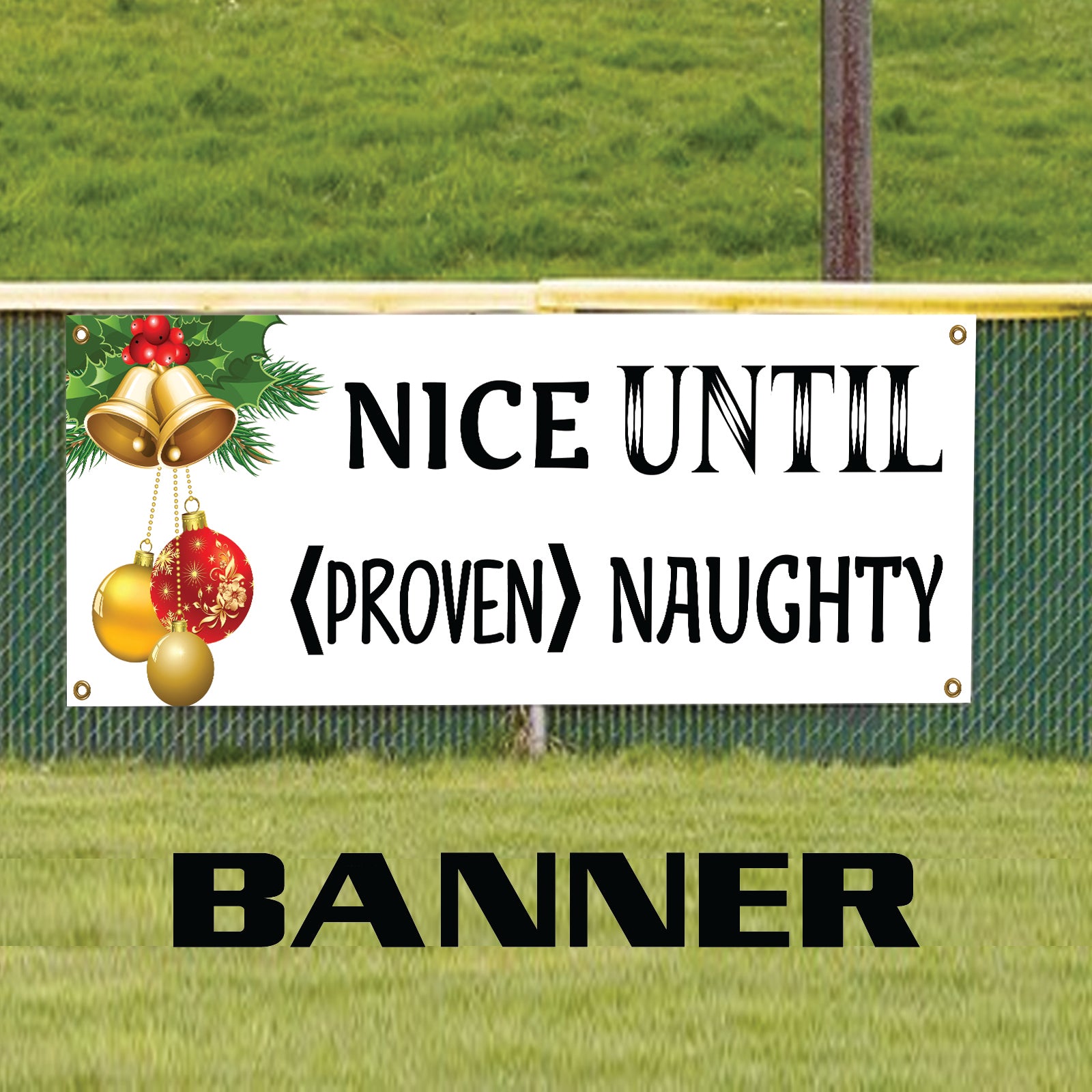 Hot Salted Roasted Nuts Dry Fruits Marketing Vinyl | Banner Sign – Sign ...