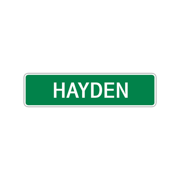 Hayden Street Sign Children Name Room Plate - Sign Fever