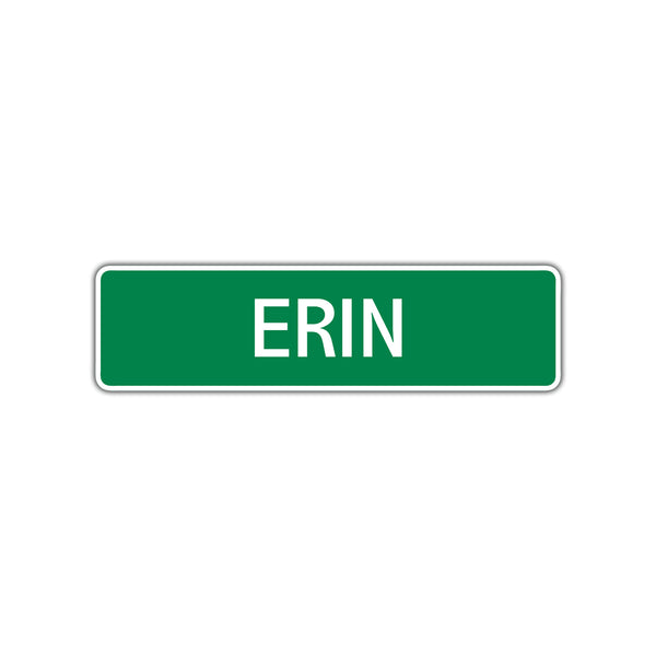 Erin Street Sign Children Name Room Plate - Sign Fever