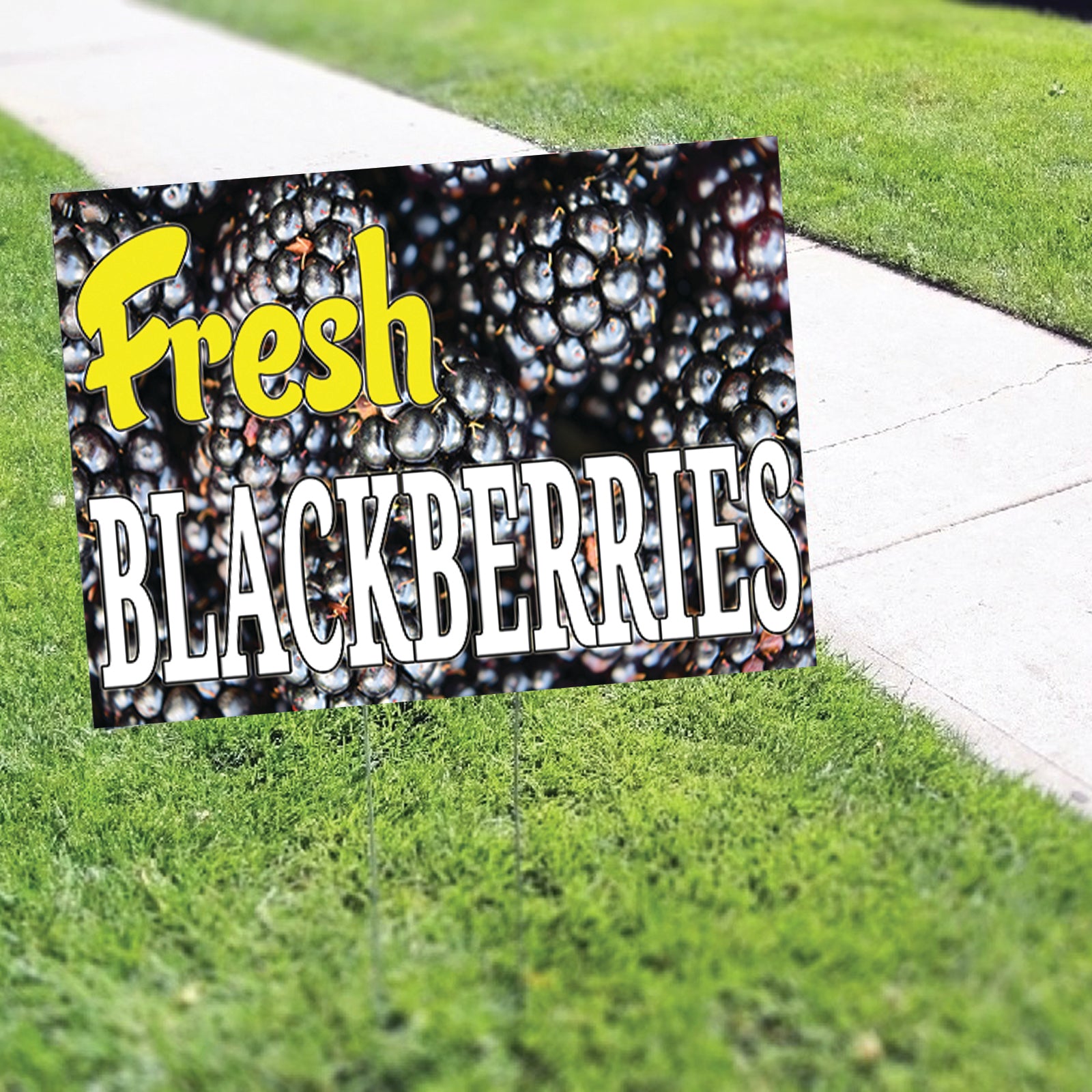 Fresh Blackberries Coroplast Yard Sign – Sign Fever