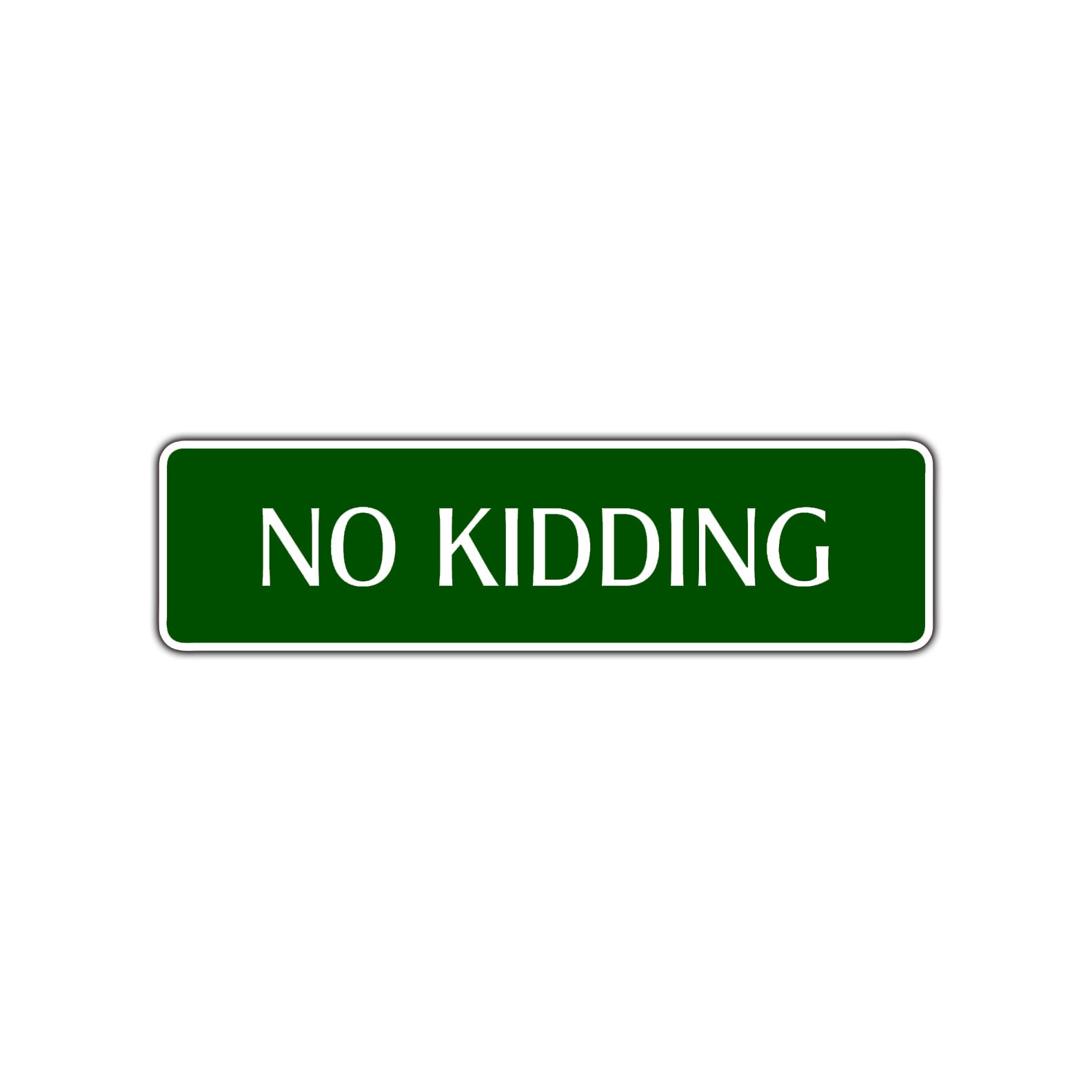 No Kidding | Metal Street Sign - Sign Fever